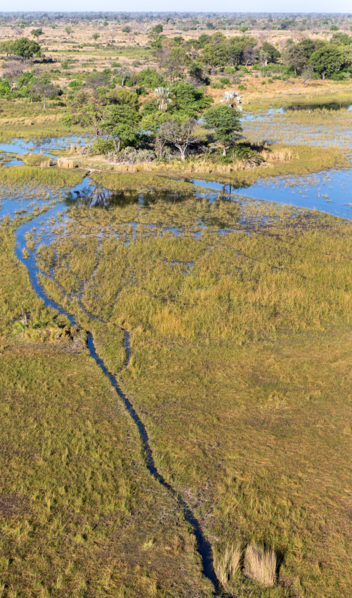 Okavango Delta - Botswana - Claude Peffer elephants wild dogs lions