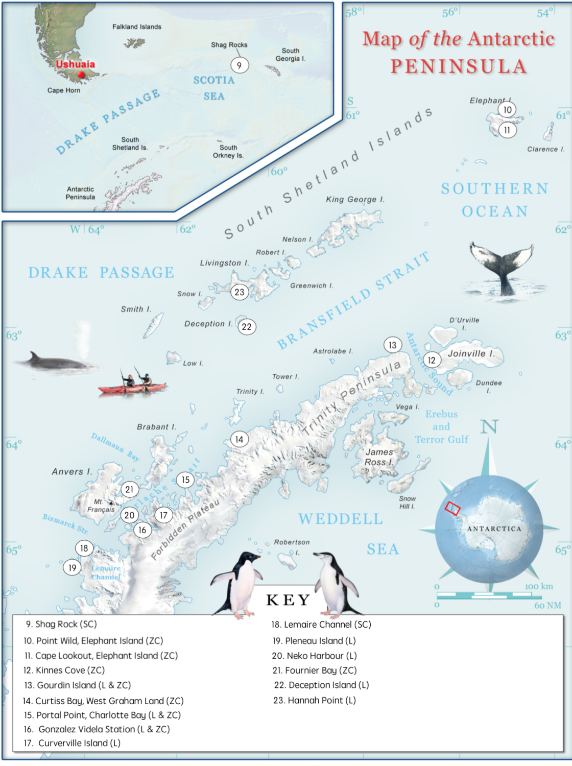Antarctic Peninsula 2020 - Claude Peffer Bransfield Strait, Gerlache Strait
